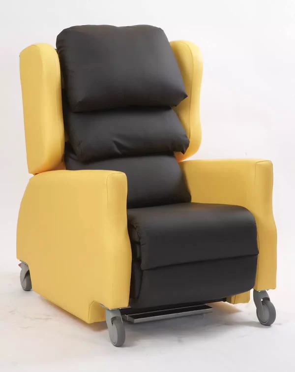 Tintern Manual Push Back | Mobility Direct North